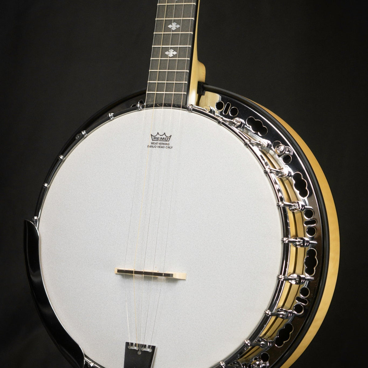 5 String Banjos | WM Guitars