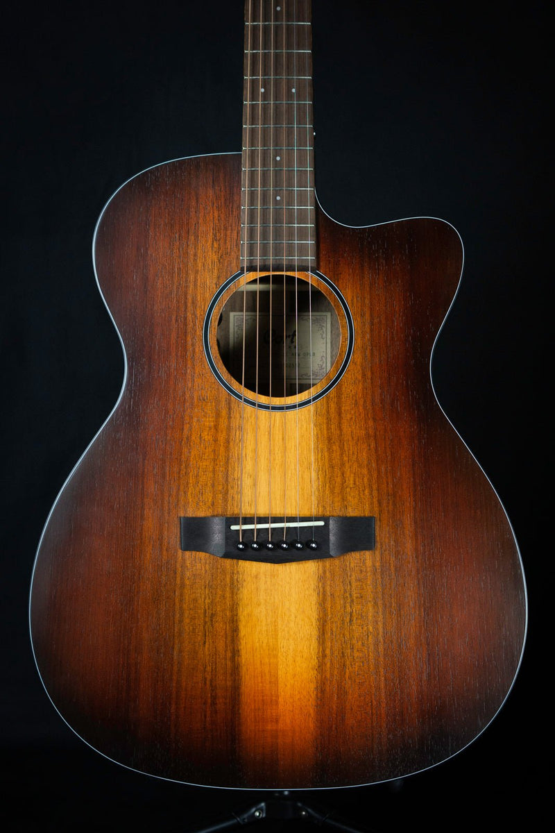 Electro-Acoustic Guitars – WM Guitars
