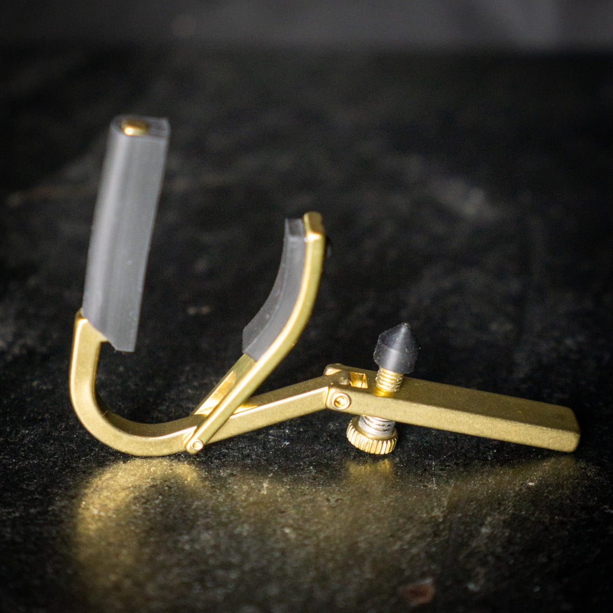 Shubb Partial Capo C8b (Skips low E string) – WM Guitars