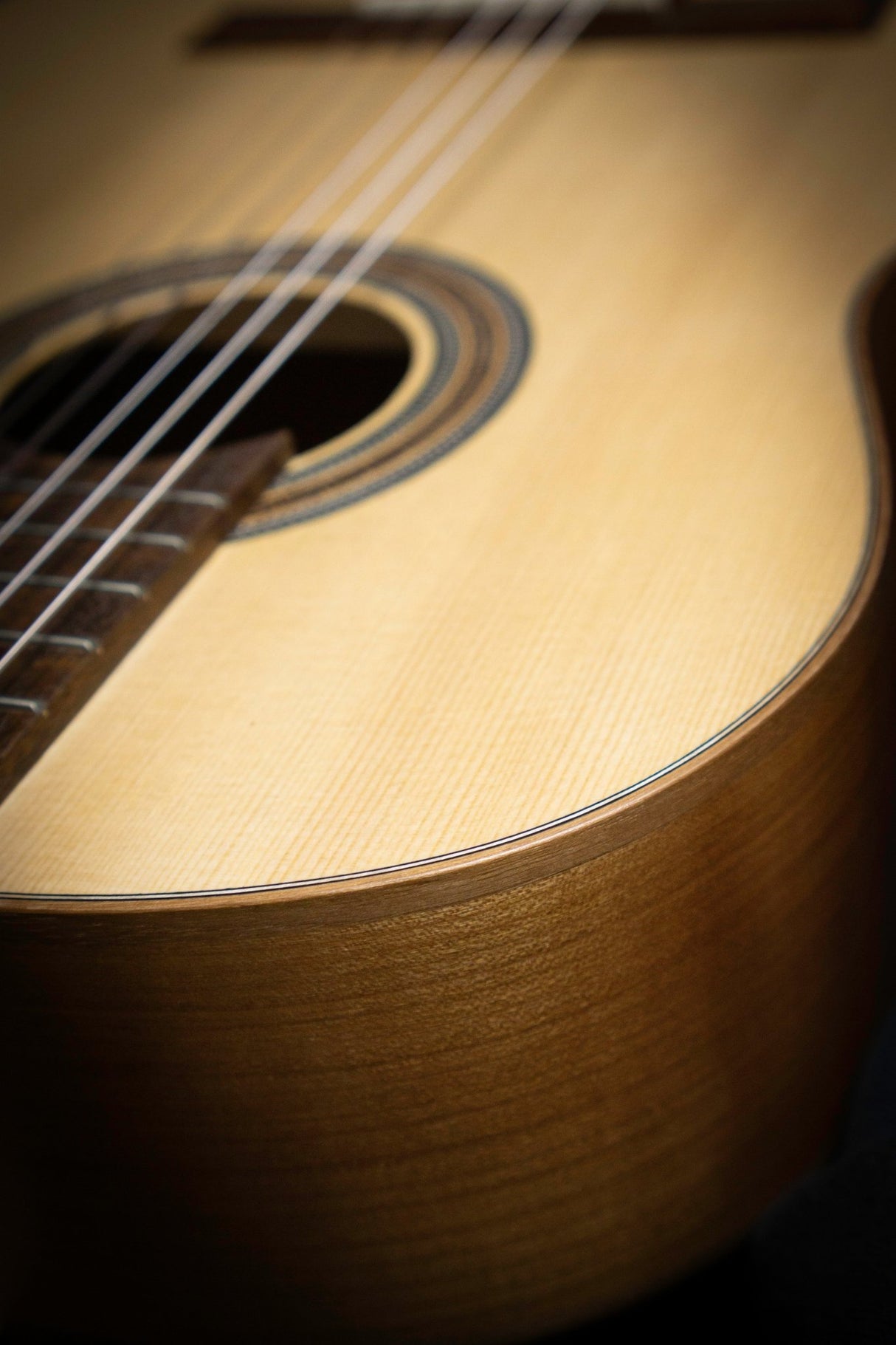 Hokada Gold All Solid Classical Guitar 3168 C/A – WM Guitars