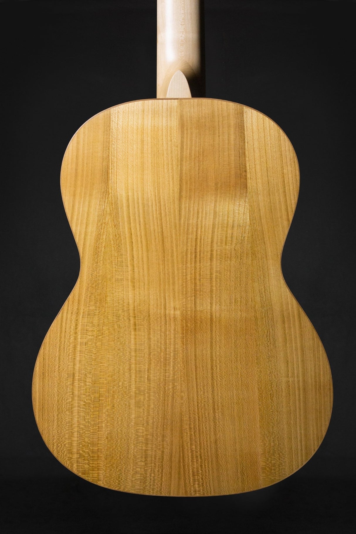 Hokada Gold All Solid Classical Guitar 3168 C/A – WM Guitars